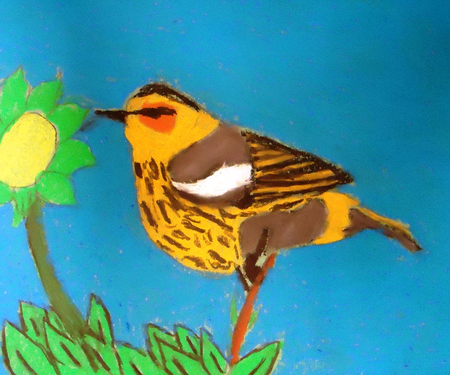 The smARTteacher Resource: Audubon Birds